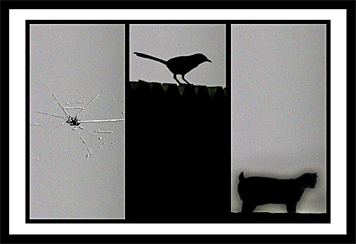Food Chain - Stuart Bender